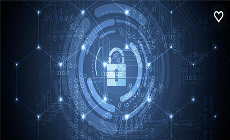 Our Services - Fortis Security